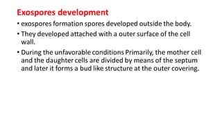 Bacterial spore physiology.pdf