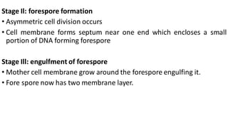 Bacterial spore physiology.pdf