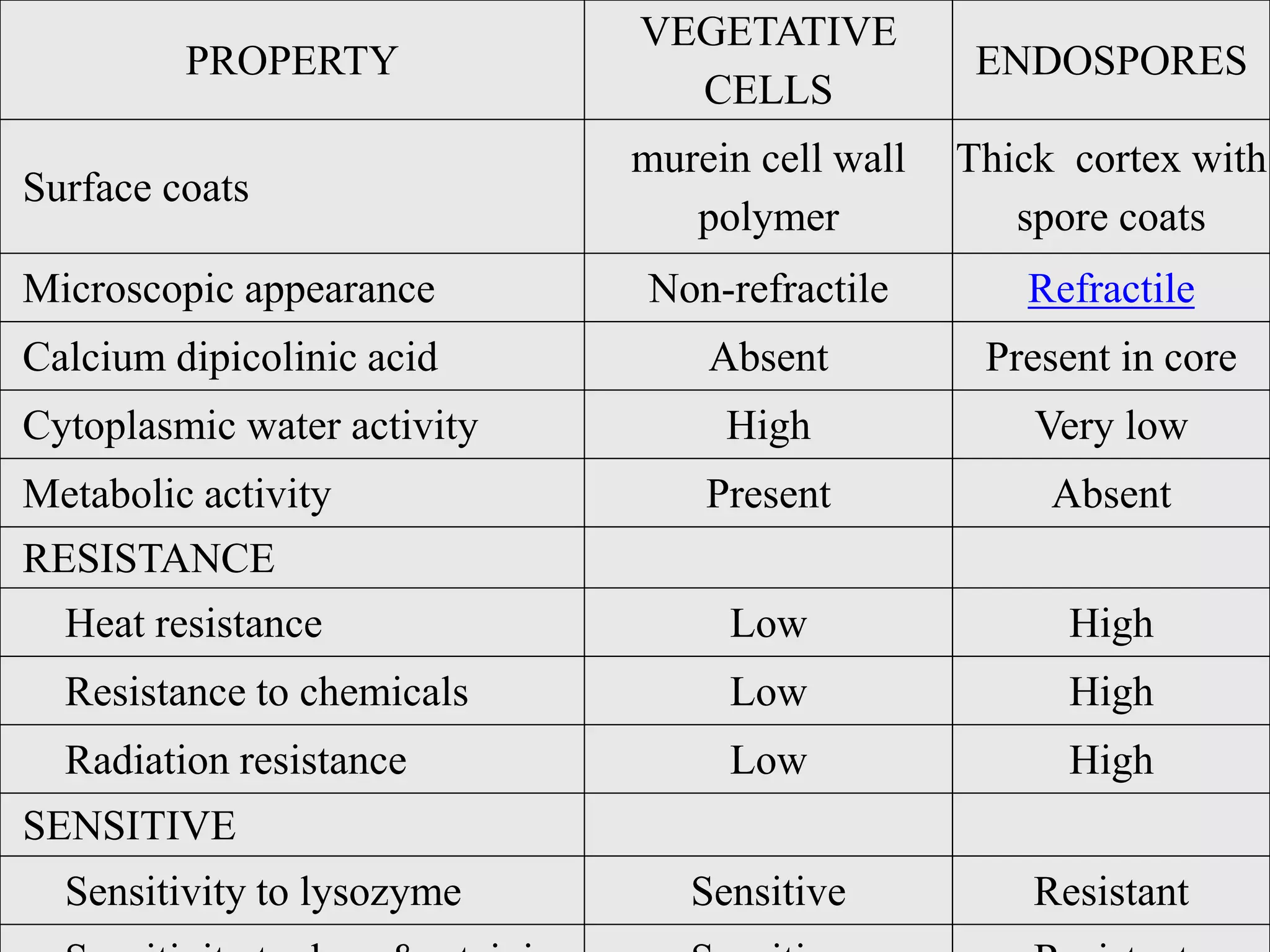 bacterial spore.ppt