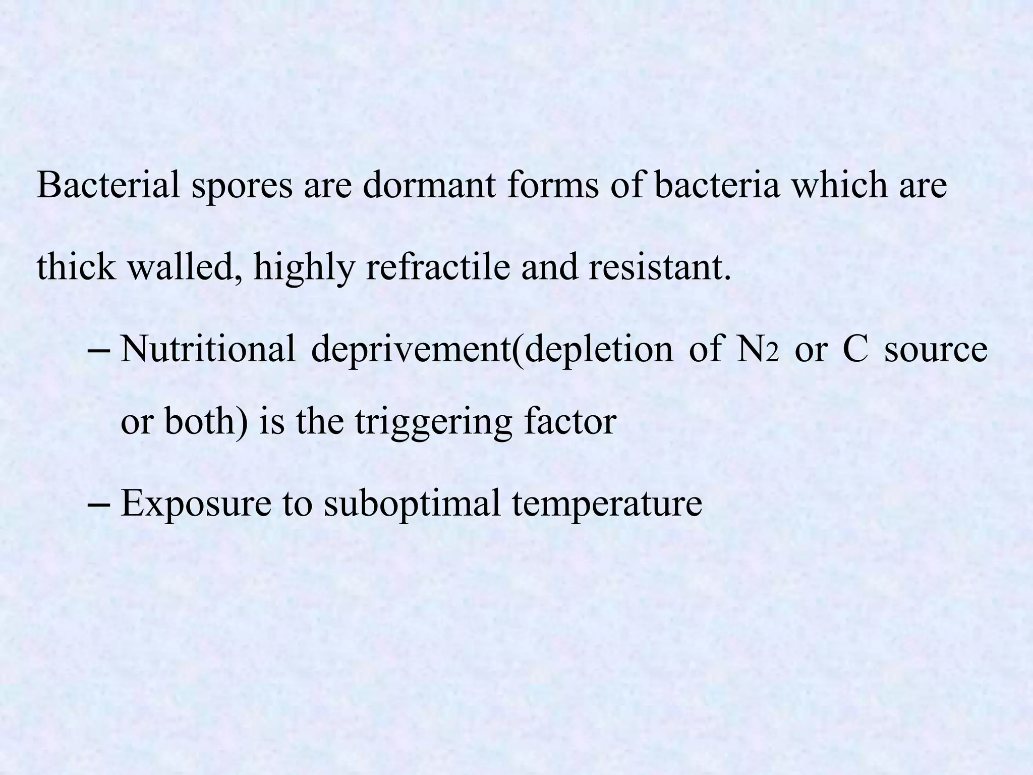 bacterial spore.ppt