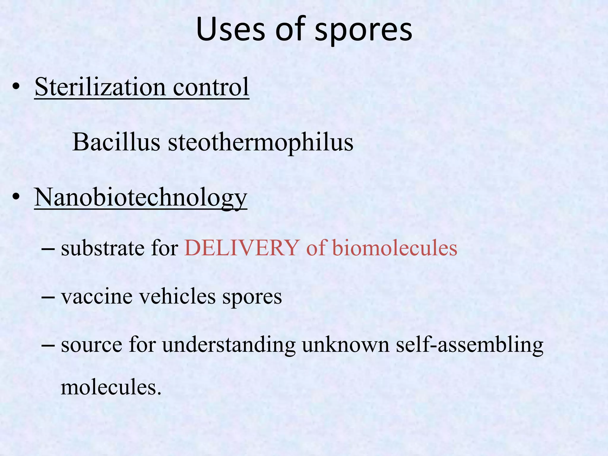 bacterial spore.ppt