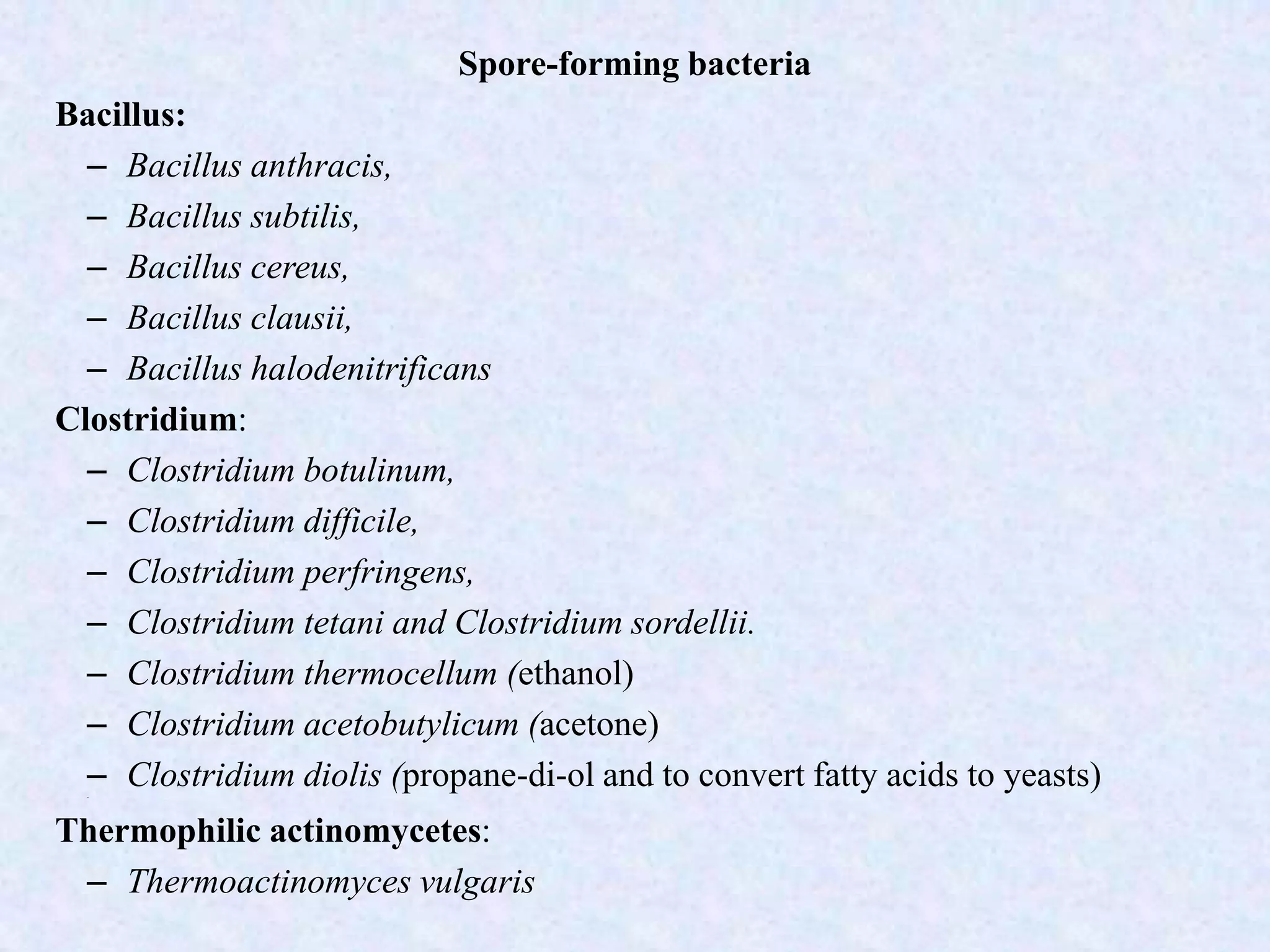 bacterial spore.ppt