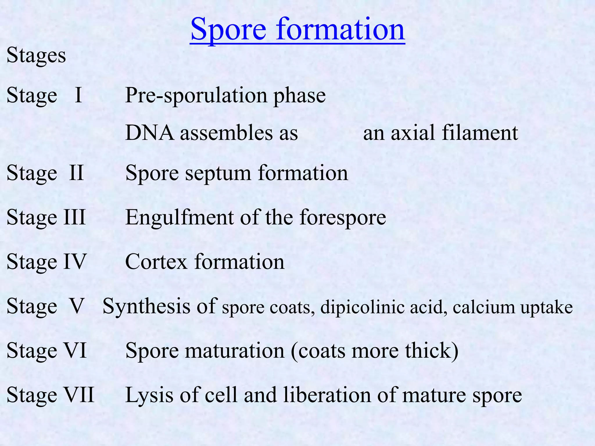 bacterial spore.ppt