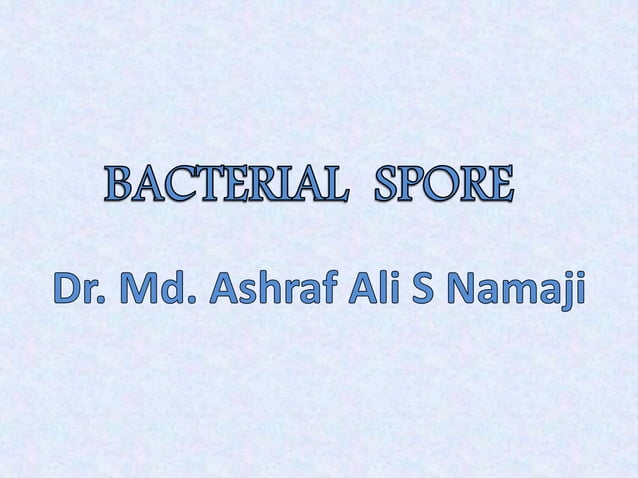 bacterial spore.ppt