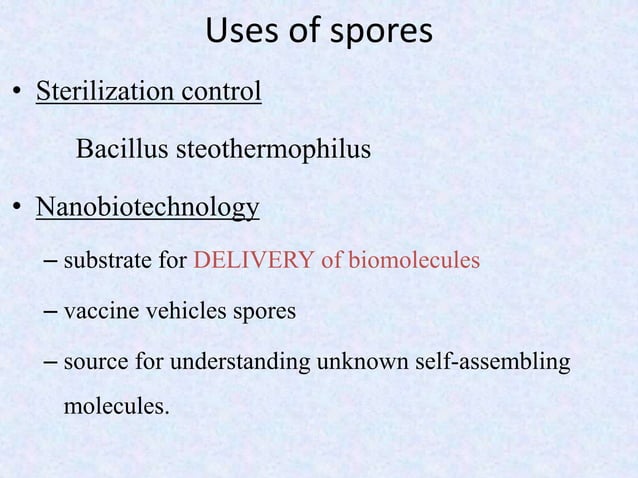 bacterial spore.ppt