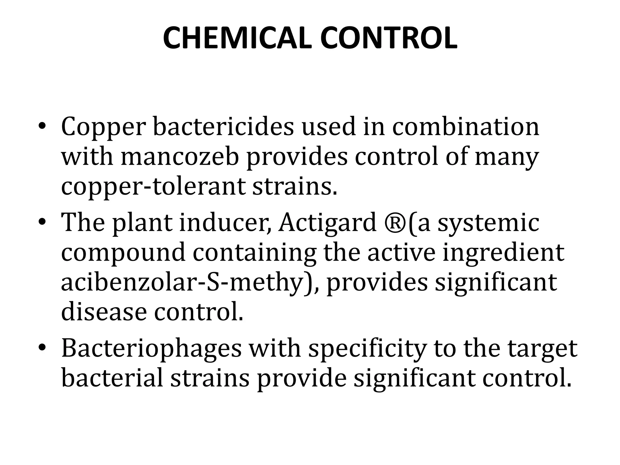 Bacterial spot of tomato | PPTX