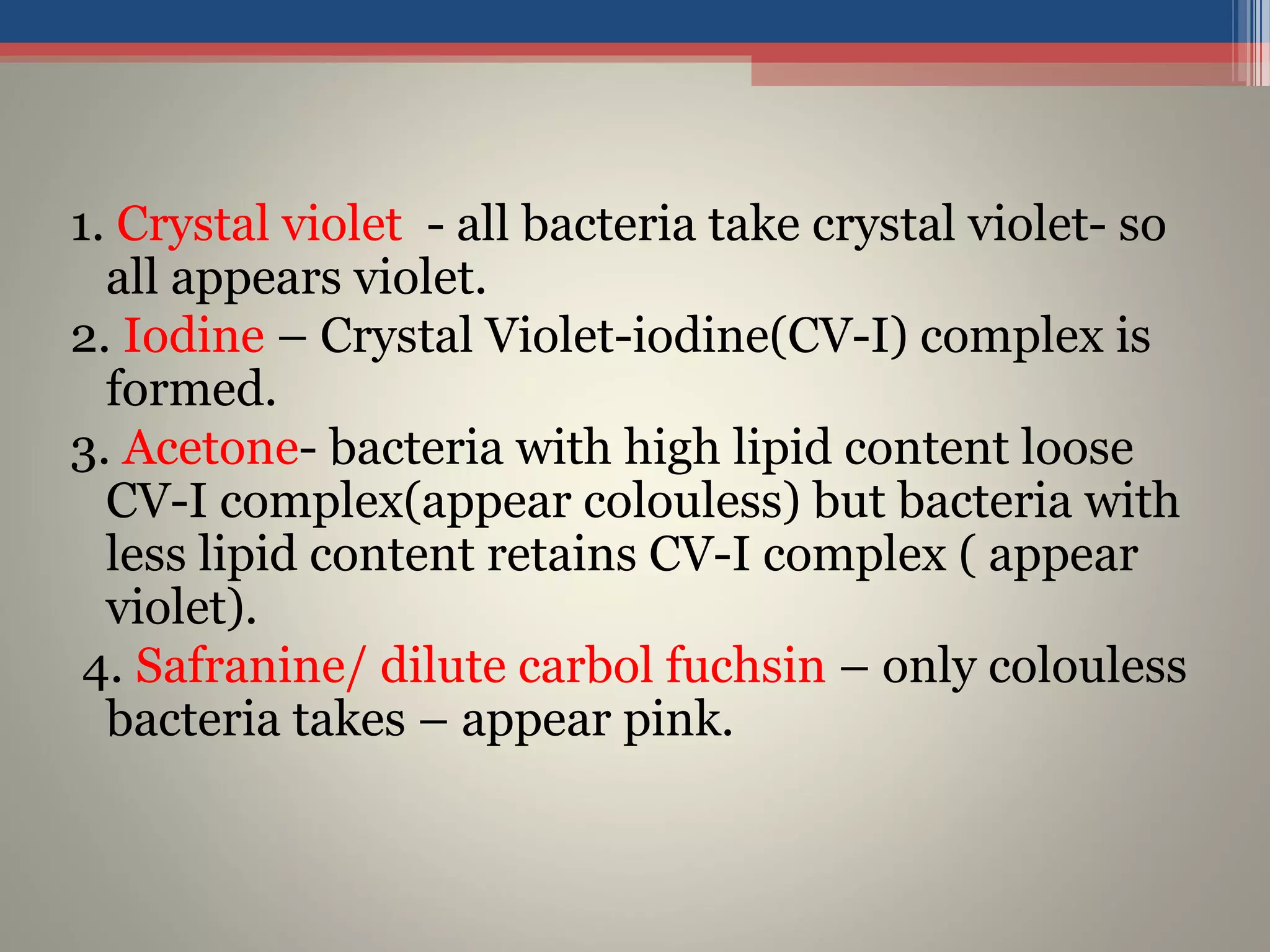 gram staining | PPT