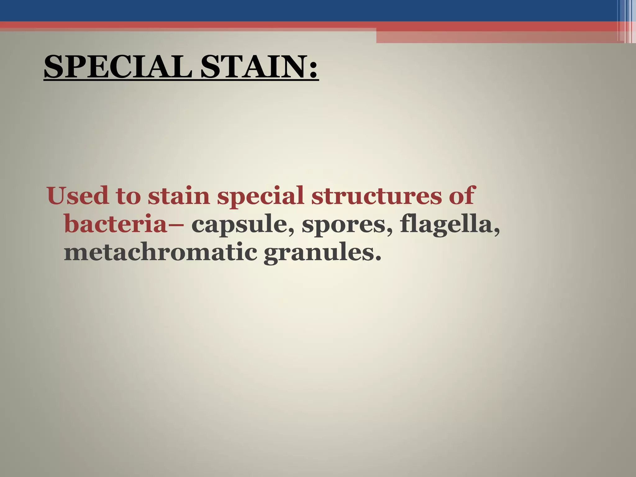 Bacterial staining | PPT
