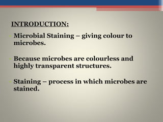 Bacterial staining | PPT