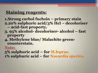 Bacterial staining | PPT