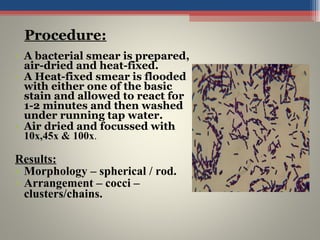 Bacterial staining | PPT