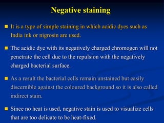 Bacterial staining | PPTX