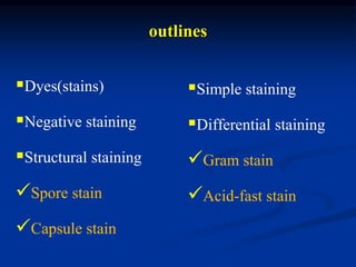 Bacterial staining | PPTX