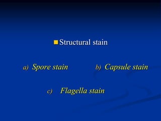 Bacterial staining | PPTX