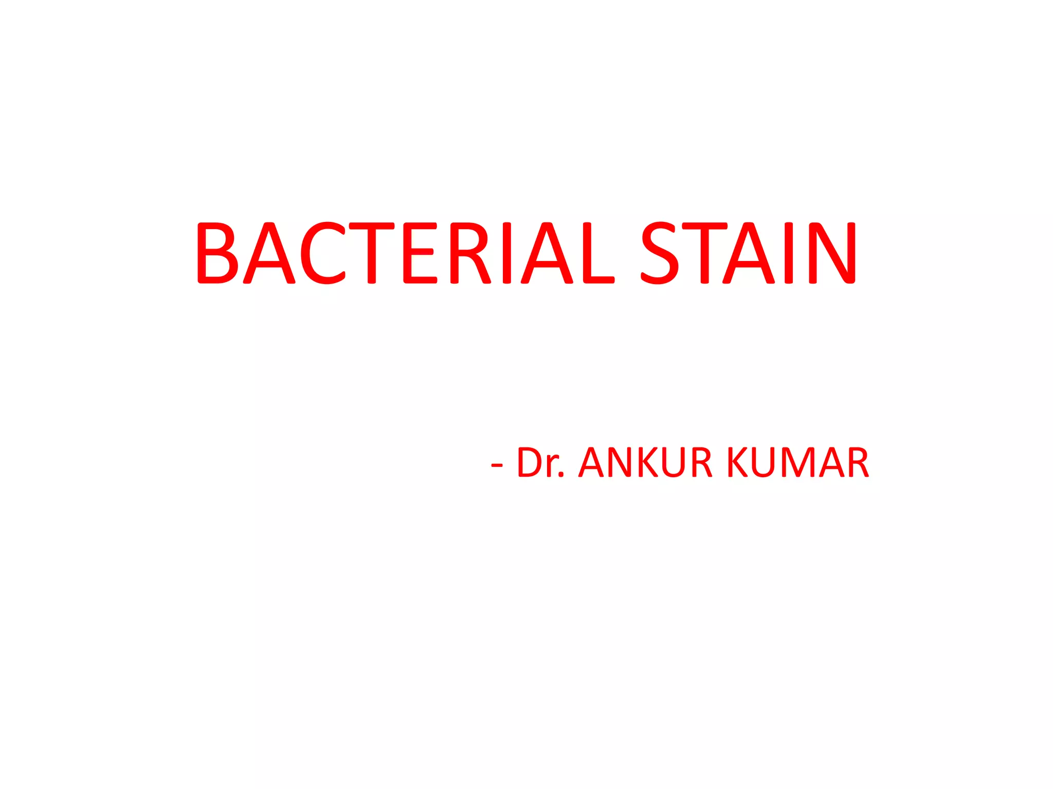 Bacterial staining | PPTX
