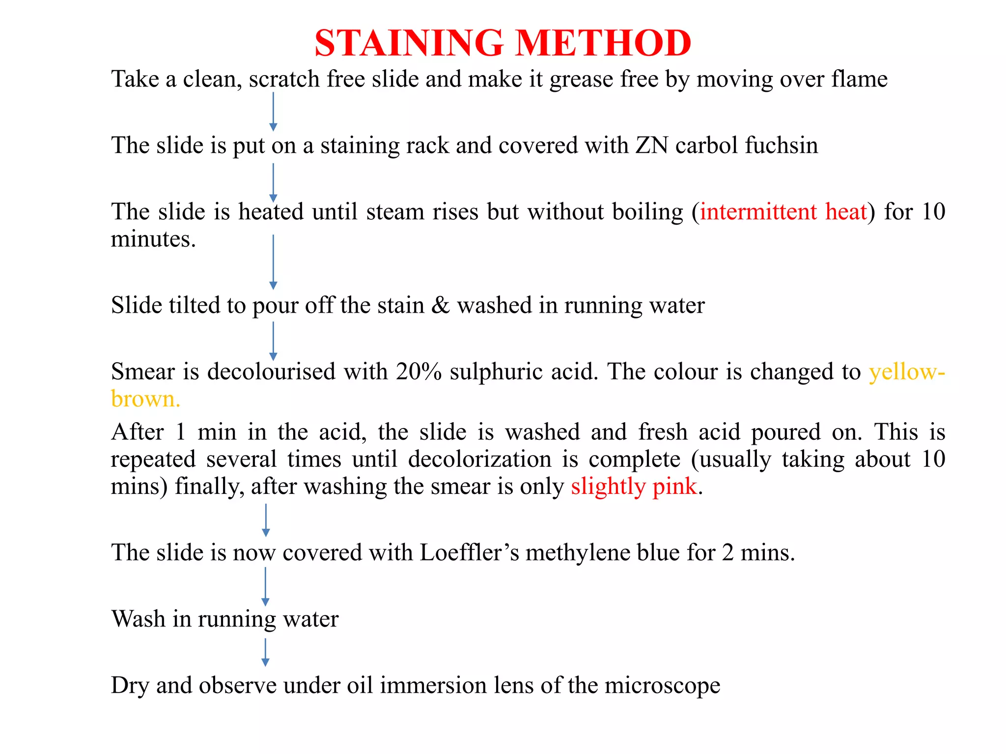 Bacterial staining | PPTX