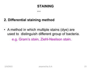 Bacterial staining.pptx