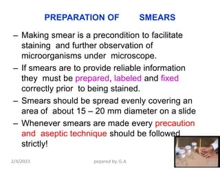 Bacterial staining.pptx