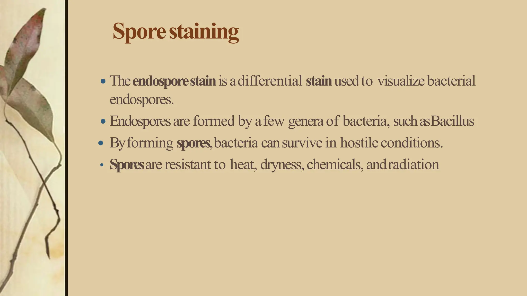 bacterial staining.pptx