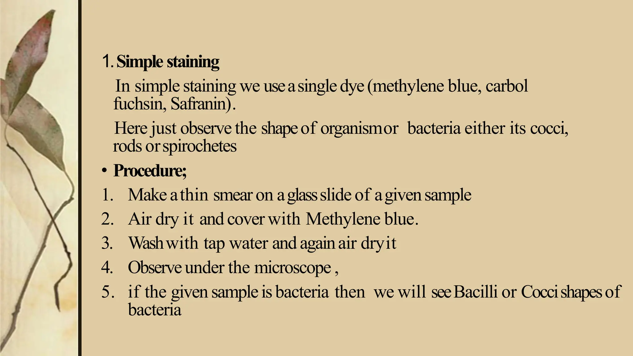bacterial staining.pptx | Chemistry | Science