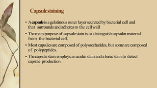 bacterial staining.pptx