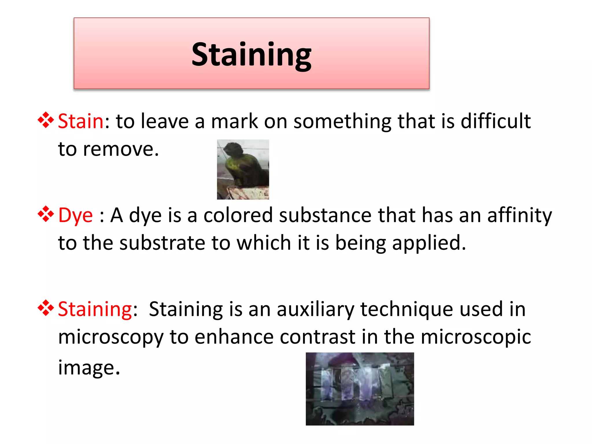 Bacterial staining methods | PPT
