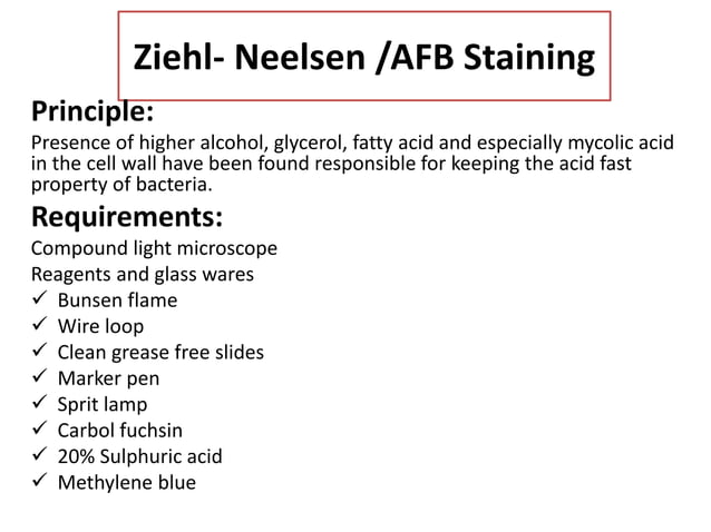 Bacterial staining methods | PPT