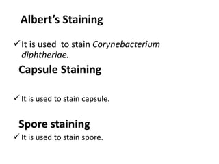 Bacterial staining methods | PPT