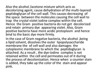 Bacterial staining methods | PPT