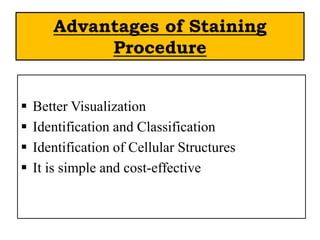Bacterial Staining Techniques | PPTX