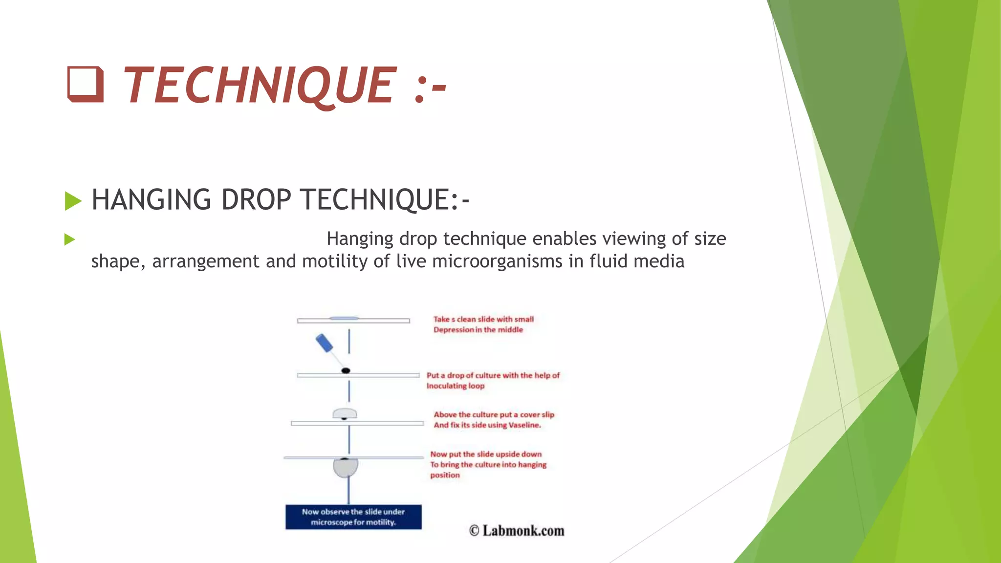 Bacterial staning by LALIT DHAKAR | PPT