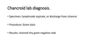 bacterial sexually transmitted diseases in the tropics | PPT