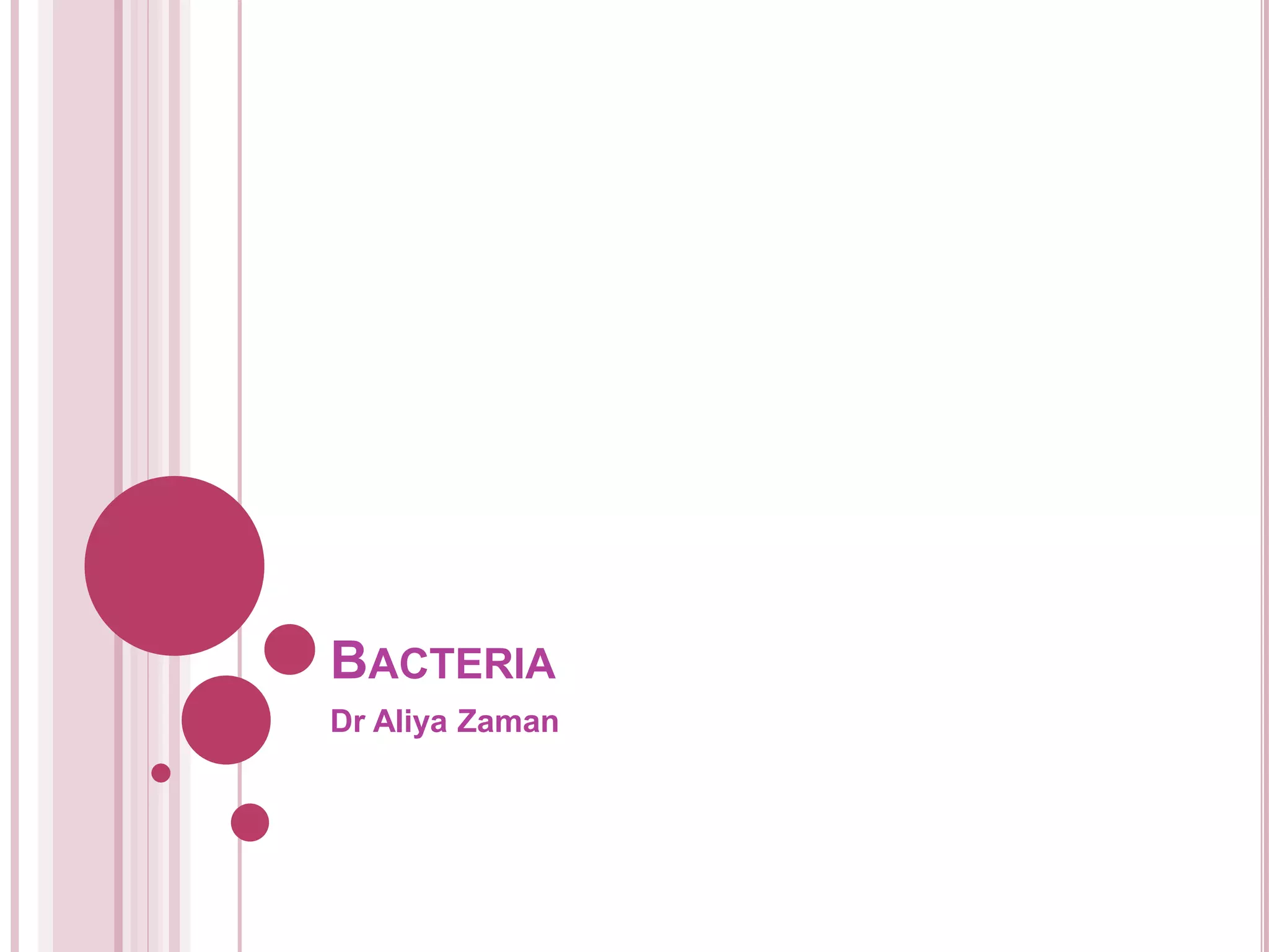 Bacterial structure | PPT