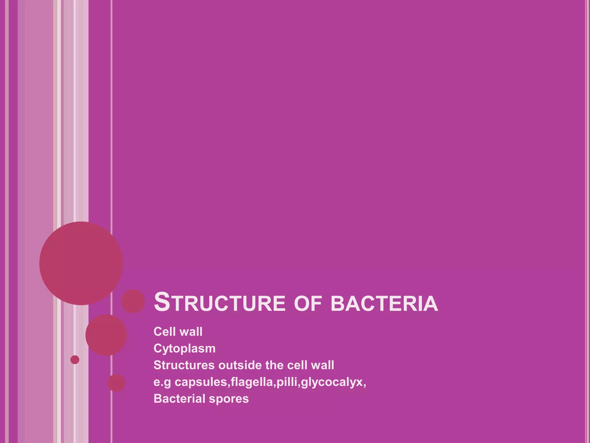 Bacterial structure | PPT