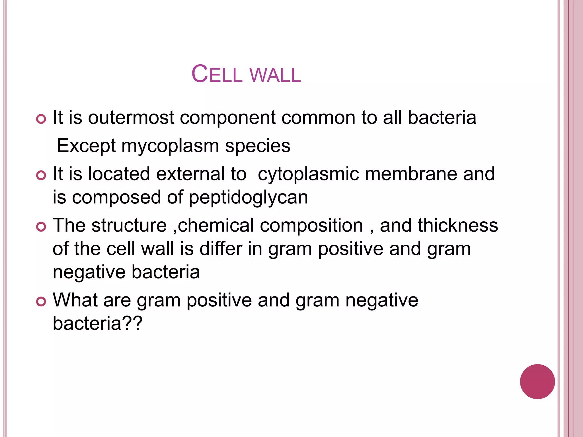 Bacterial structure | PPT