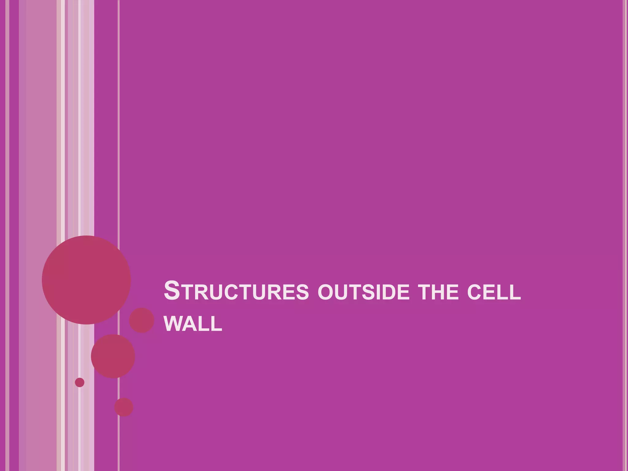 Bacterial structure | PPT