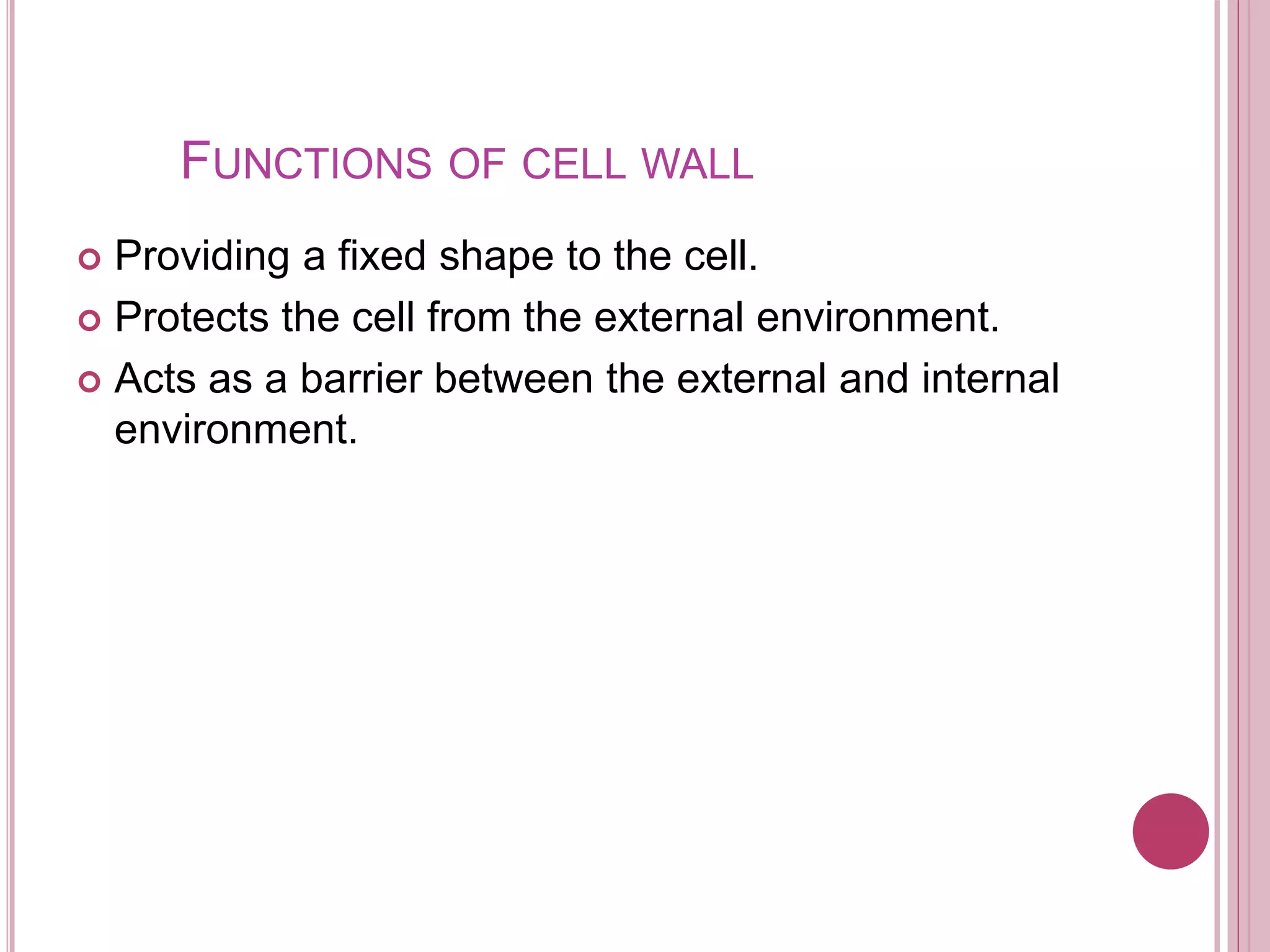 Bacterial structure | PPT