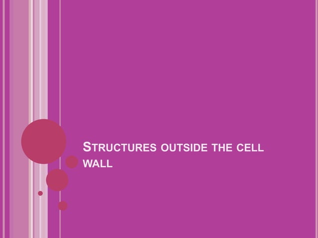 Bacterial structure | PPT