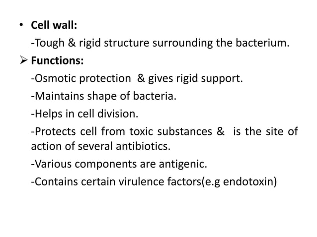 Bacterial structure.pptx