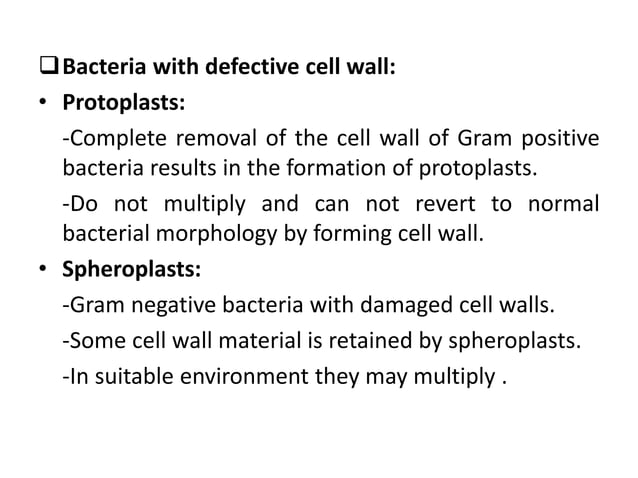 Bacterial Structure Pptx