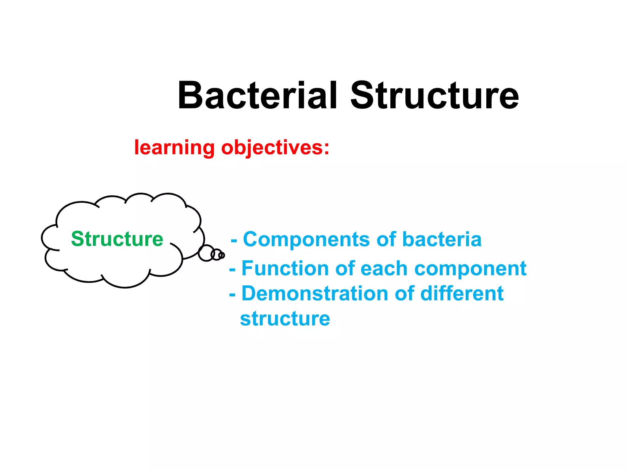 Bacterial structure | PDF
