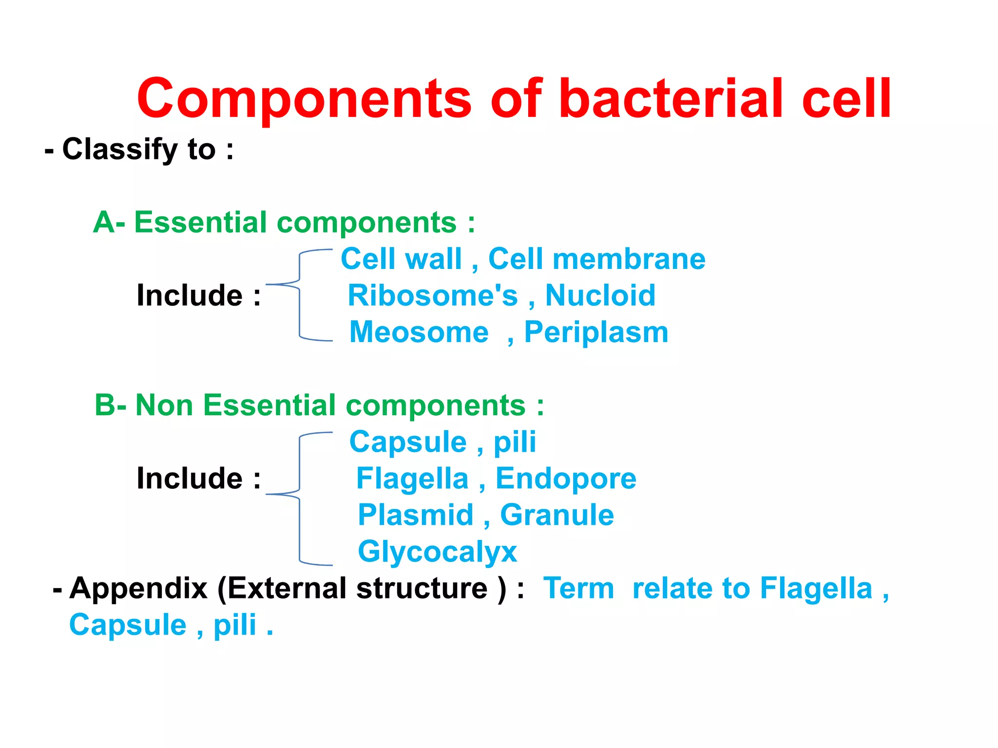 Bacterial structure | PDF