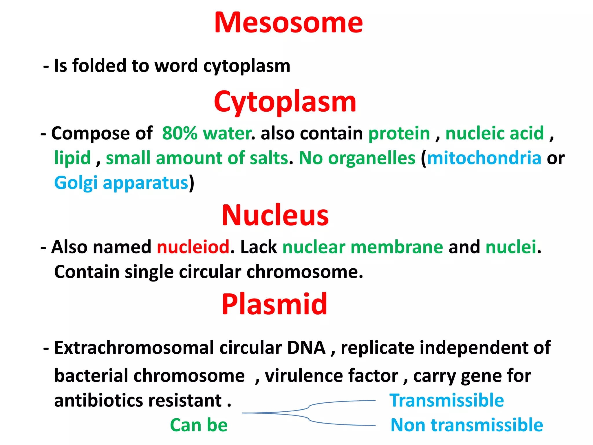 Bacterial structure | PDF