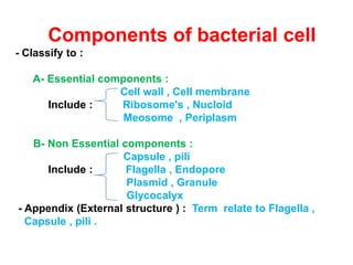 Bacterial structure | PPT
