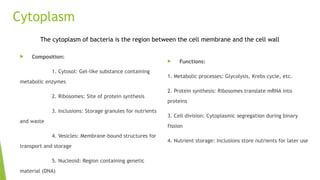Bacterial Structure (Microbiology ).pptx