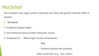 Bacterial Structure (Microbiology ).pptx