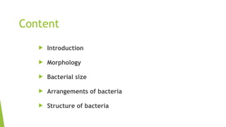Bacterial Structure (Microbiology ).pptx