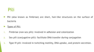 Bacterial Structure (Microbiology ).pptx
