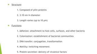 Bacterial Structure (Microbiology ).pptx