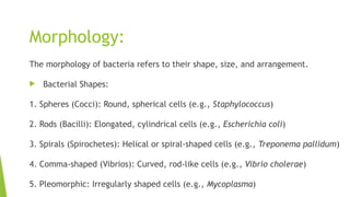 Bacterial Structure (Microbiology ).pptx